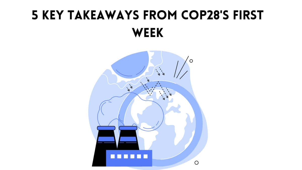 5 Key Takeaways from COP28’s First Week – Slice of P.I.E